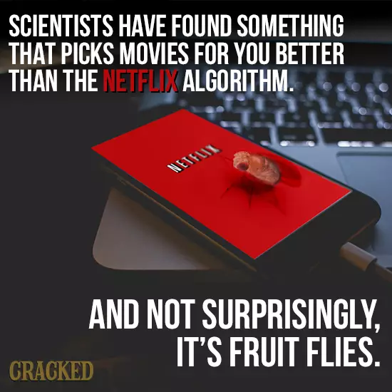 WETENSKAPLIKES HET IETS GEVIND WAT FLIEKS VIR JOU BETER AS DIE NETFLIX-ALGORITME KIES. NETFLI EN NIE VERWASSEND NIE, DIS VRUGTE VLIEGE. GEBRAAK