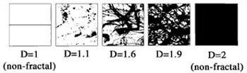 D=l D=1,1 D=1,6 D=1,9 D=2 (фракталдық емес) (фракталдық емес)