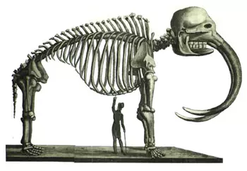 5 Belaglike alternatiewe weergawes van prehistoriese diere