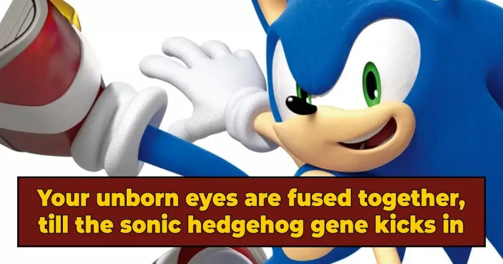 Sonic The Hedgehog ha un gene che prende il suo nome, ed è stranamente appropriato