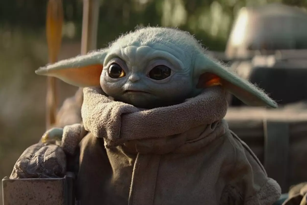 Werner Herzog Nói về Baby Yoda là một bài thơ thuần túy