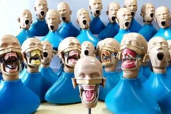 Sjoch op de Toothy Horror Dat Is Dental Practice Dummies 1763_1