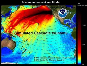 Maximum tsunami amplitude coo 150 PotentialCaecadia-ent 0 100 Simulated Cascadia tsunami 12 10 1 16 12 12 NOAA ReRRNrCH Benduet. rot an eHfciall forec