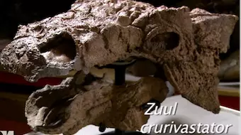 Zuul crurivastator