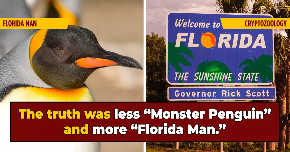 Aquela vez que Florida temía que un "pingüín xigante" aterrorizase as praias