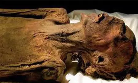 We hadden geen mummies meer omdat Europeanen ze aten 2836_1