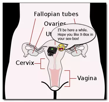 5 lächerliche Sexmythen, an die jeder glaubt