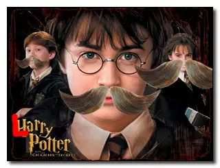 uarry Potter CHAMERSECRET