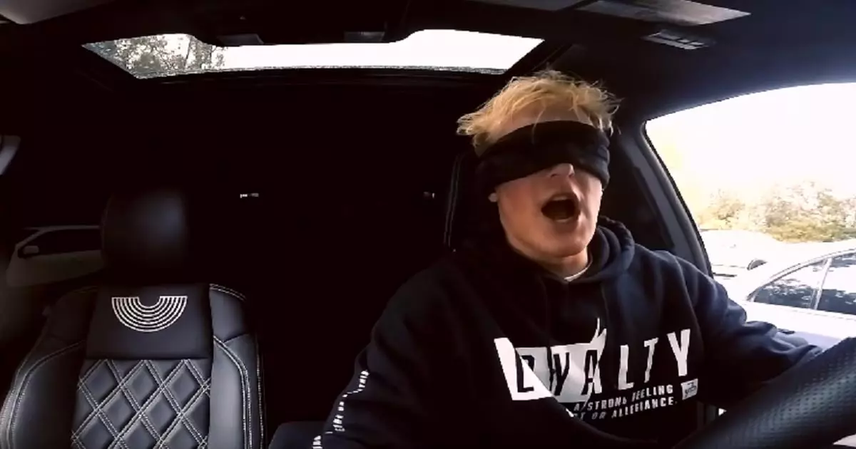 YouTube, Bird Box Challenge'dan Sonra Aptal Şakalardan Bıktı