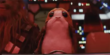 A porg