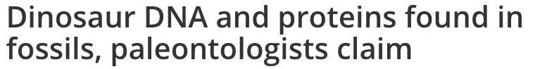Dinosaur DNA le liprotheine tse fumanoang mesaletsa ea lintho tsa khale, litsebi tsa paleonto li bolela