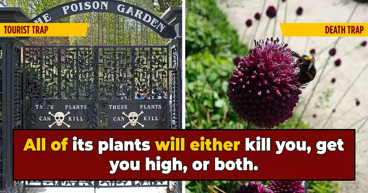 מיקום הסרט Madness: The Poison Garden בטירת IRL של הארי פוטר