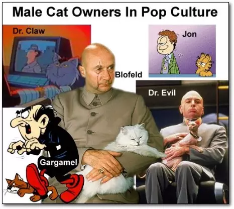 ポップカルチャーのオスの猫の飼い主Dr.ClawJon Blofeld Dr. Evil Gargamel