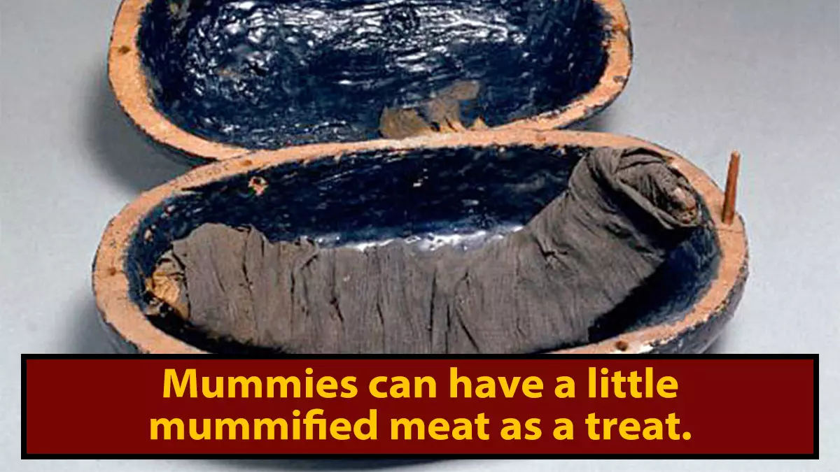 Mummies ໄດ້ບັນຈຸອາຫານຫວ່າງ Mummy