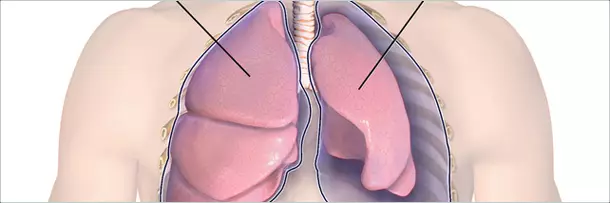 5 modi bizzarri in cui non crederai alle viti del suono con il tuo corpo