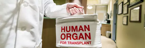 ÓRGANO HUMANO PARA TRANSPLANTE