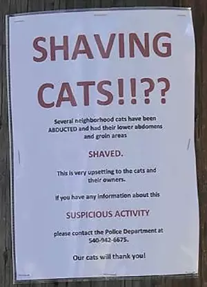 SHAVING CATS !! ?? abaturanyi babaye c2ts nyinshi nahsd inda zabo ower ABDUCTED hamwe nigituba SHAVED. kubabaza injangwe na Thle Ni ver